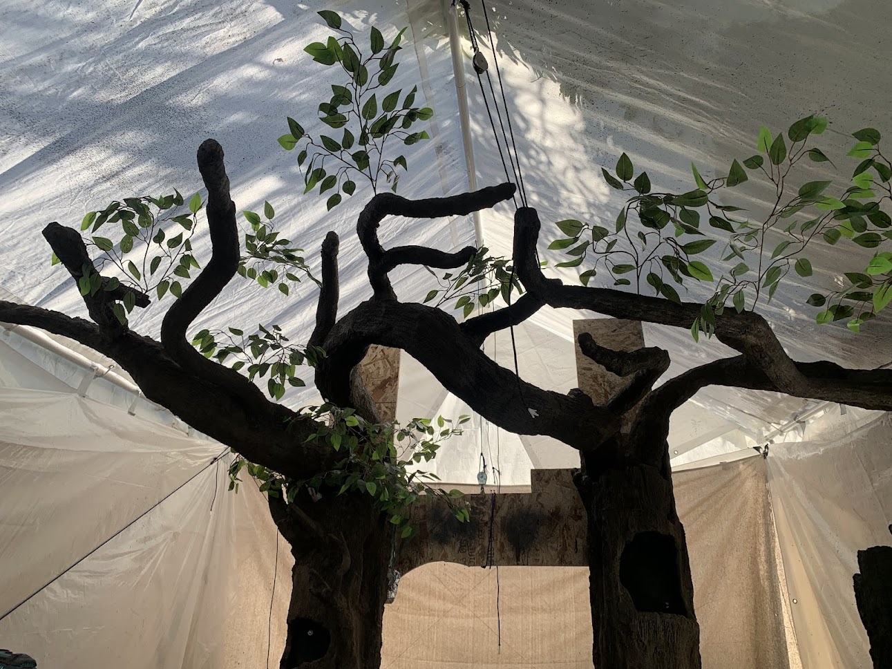 Faux Tree - paultjr